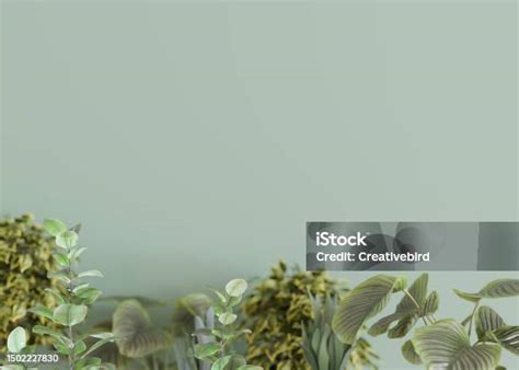 식물이 있는 녹색 배경과 텍스트를 위한 빈 공간 복사 공간이 있는 아래쪽 테두리 현실적인 나뭇잎 3d 렌더링 0명에 대한 스톡 사진 및 기타 이미지 Istock