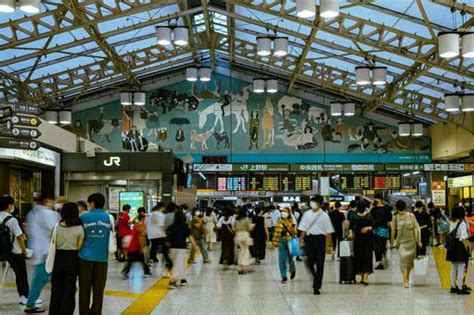 무료 사진 제목