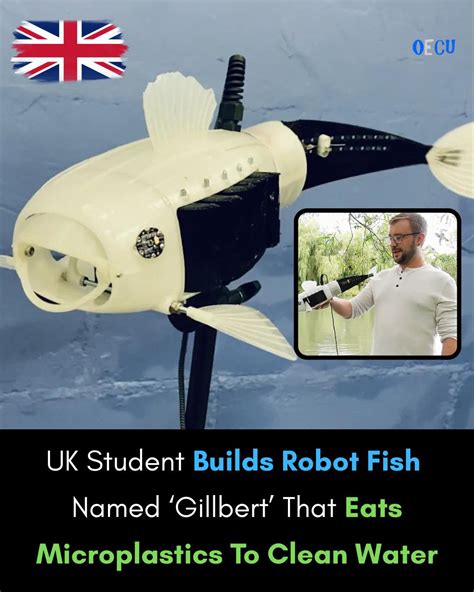 🌊🤖 Meet Gillbert” The Only Engineers Can Understand Facebook