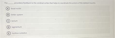 Solved Theprovide S ﻿feedback To The Cerebral Cortex That