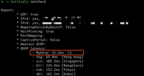 浅探 Tailscale Derp 中转服务 Kipreys Blog