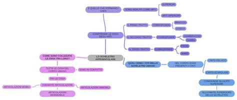 Lo Scheletro Appendicolare Coggle Diagram