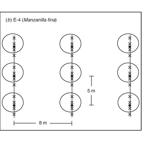 Diagrams Of The Emitter Arrangements And Tree Spacing In The A Ce 4