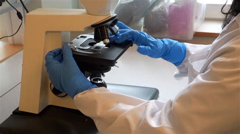 Video Processing The Ovarian Tissue And Determining Ovarian Reserve In