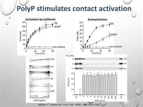 Esc Basic Science Summer School Sophia Antipolis Ppt Download