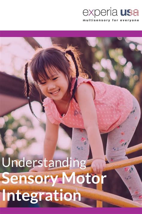 Sensory Motor Integration Refers To The Link Between The Nerves Sensory System And The Muscles