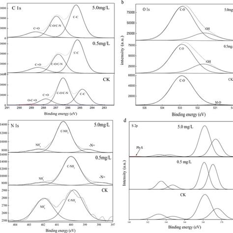 c1s o 1s n 1s and s 2p spectra for the organelle at different