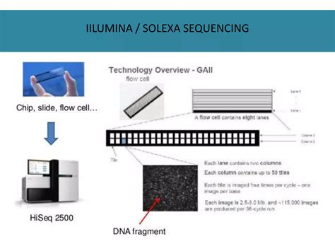 Next Generation Sequencing Pptx Biotech And Biomedical Industry Industries