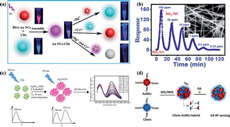 A Schematic Diagram Of The Auncs Cds Synthesis Process And Its