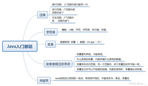 Java入门基础 Csdn博客