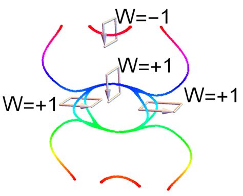 Nodal Line Fermi Surfaces For Various States In Table I A1 A2