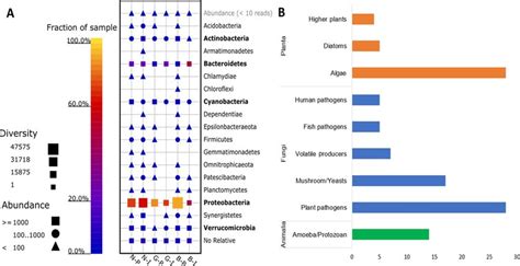 Microbial Diversity Detected By The Metabarcoding Analysis The Download Scientific Diagram