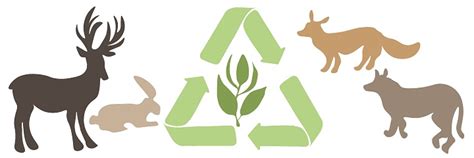 환경 친화적 인 템플릿에 대 한 Esg 생태 그림 지속 가능성 에코는 깨끗한 지구입니다 지속 가능성 생태 또는 재생 에너지 절약 할 에너지 개념에 대한 스톡 벡터 아트 및