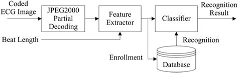 The Proposed Ecg Biometric System Download Scientific Diagram