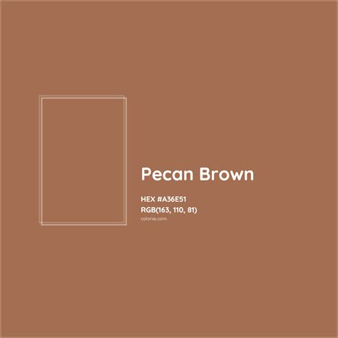 About Pecan Brown Color Codes Similar Colors And Paints