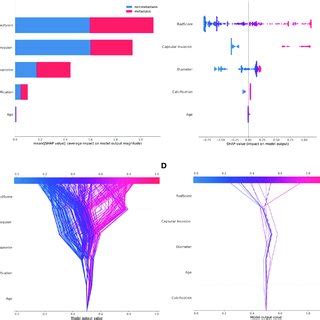 SHAP Plots Of The XGBoost Model A The Classified Bar Charts Of The