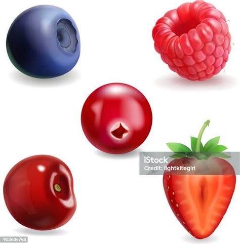 현실적인 베리 세트입니다 딸기 라즈베리 블루베리 체리 블랙 커 런 트 그림 베리류에 대한 스톡 벡터 아트 및 기타 이미지 베리류 산 딸기류 3차원 형태 Istock