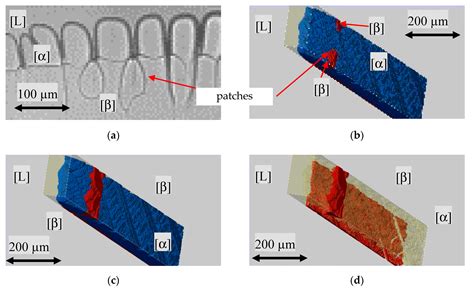 Investigation Of Peritectic Solidification Morphologies By Using The Binary Organic Model System