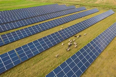 Harmony Looks To Accelerate Approvals Process For 300 Mw Pv Pipeline