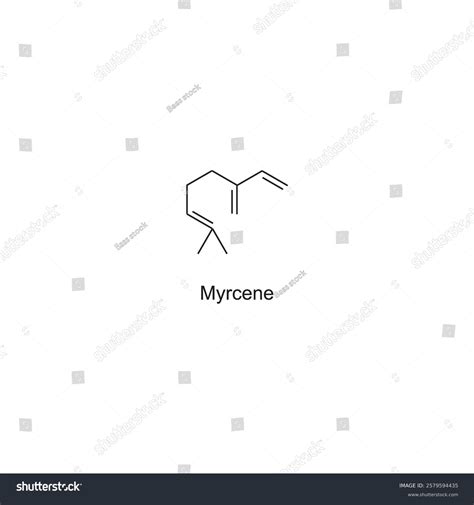 Myrcene Skeletal Structureterpene Compound Schematic Illustration Stock