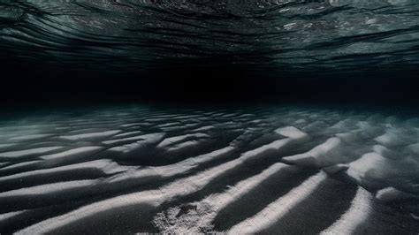 Dawn Wright Rolling In The Deep — Parley — Parley