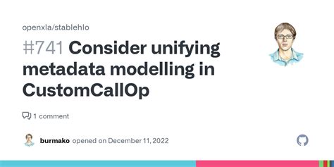 Consider Unifying Metadata Modelling In Customcallop · Issue 741