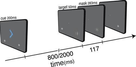 Combining Spatial And Temporal Expectations To Improve Visual