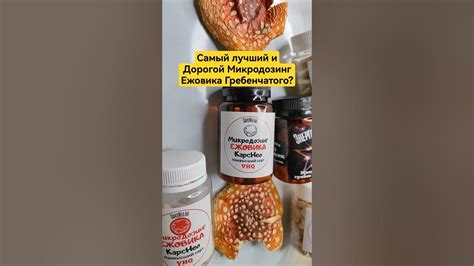 Самый лучший и Дорогой Микродозинг Ежовика Гребенчатого? #ежовик # ...