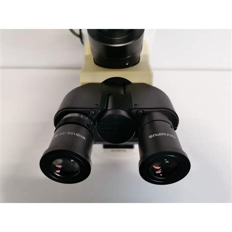 Microscope Olympus Cx41rf