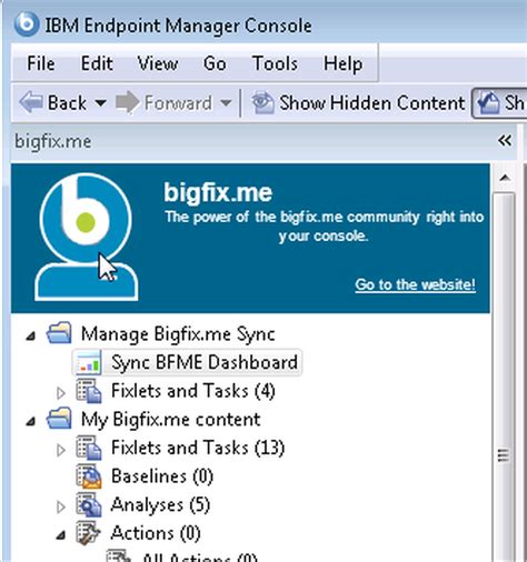 Bigfixmesync Plugin For Bigfix Bigfix Me