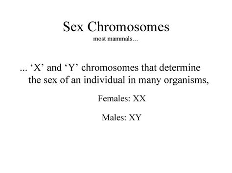 Assignments Read From Chapter 3 3 6 Pp Ppt Download