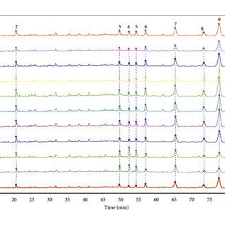 The Overlay Chromatograms Of 10 Batches Of Aqueous Extract Of D Hancai Download Scientific