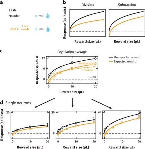 figure 1 from neural circuitry of reward prediction error semantic