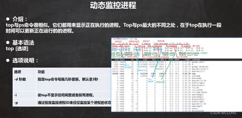 Linux动态监控进程 Csdn博客