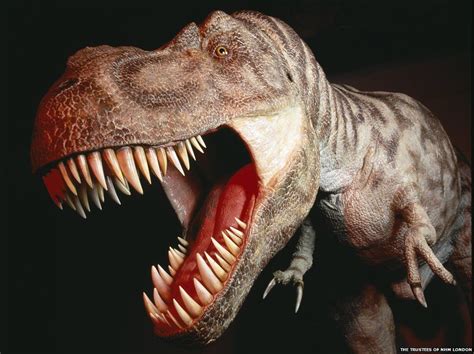 Why we like to believe that dinosaurs were scaly - BBC News
