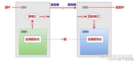 【web】计算机网络原理（重点：tcp Ip五层模型） 知乎