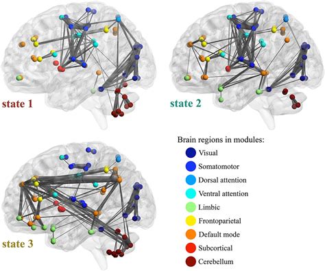 frontiers tracking the main states of dynamic functional connectivity