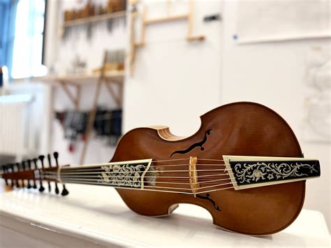 Viola Damore In C Tuning With 14 Sympathetic Strings — Jonathan Hill Instrument Maker