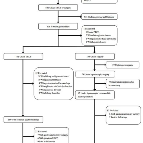 Intraoperative Cholangiogram Showing The Dilated Common Bile Duct With Download Scientific
