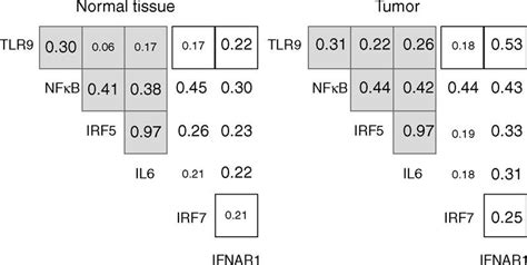 Phi Correlation Coefficients Of Mrna Detectability Between Molecules Of Download Scientific