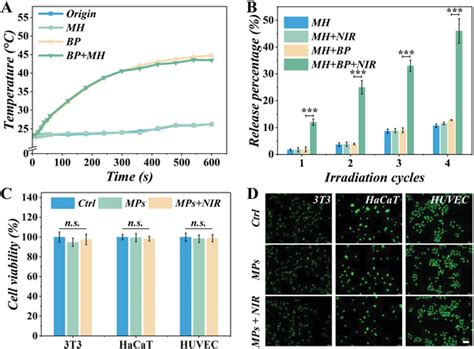 The In Vitro Drug Release Profile And Biocompatible Experiment A The Download Scientific