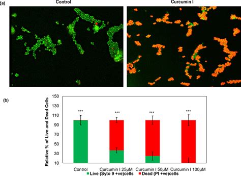 Fluorescence Microscopy Assay For Viability Of S Aureus Against Download Scientific Diagram