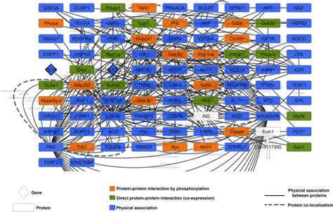 Proteinprotein Interaction Data Were Analyzed By Molecular Interaction