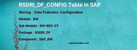 rsdri df config sap table for data federator configuration