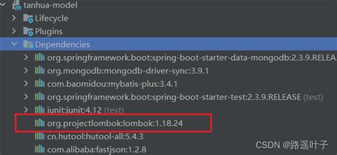 Java You Aren‘t Using A Compiler Supported By Lombok So Lombok Will