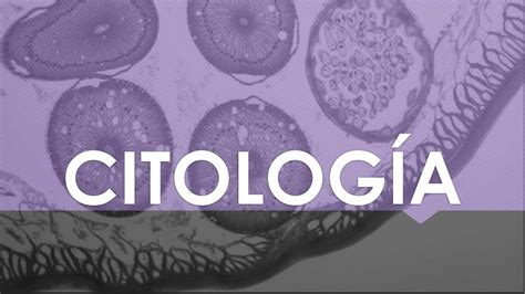Citología Nicole León Checa Udocz