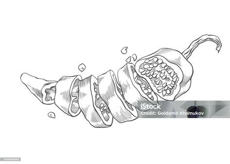 고리 모양으로 자른 고추 고추의 흑백 단면 그림 간판 메뉴 식기 인쇄 및 기타 목적을 위한 음식 이미지 고추 씨앗과 과육