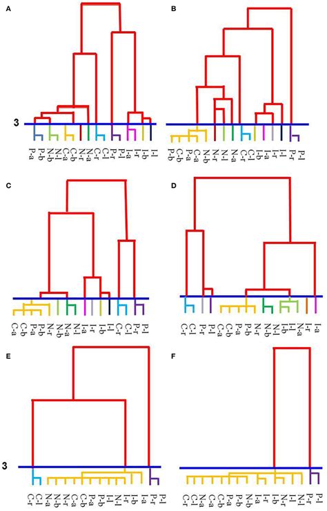 Hierarchical Tree Clustering Of Performances Across The 16 Tasks For