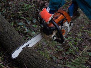 Chainsaw Troubleshooting: Fix Common Problems - iFixit