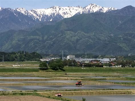 農業の6次産業化に取り組む 地域おこし協力隊募集！ ｜地域のトピックス｜furusato